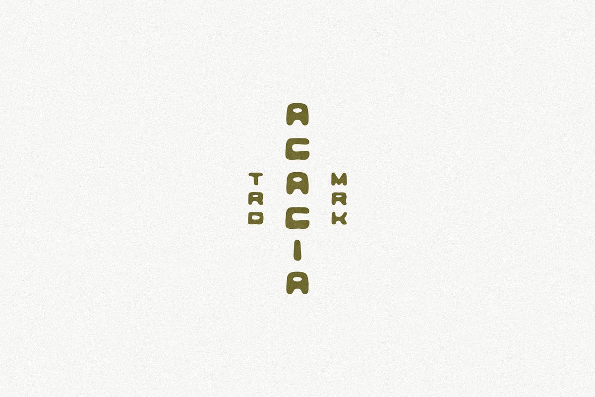 Acacia Typeface Digital Font Download