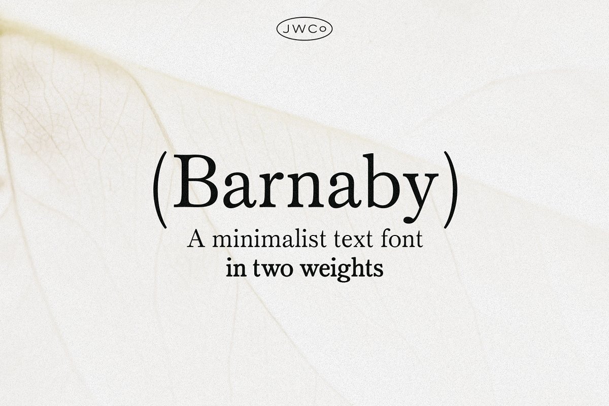 Barnaby | A Minimalist Text Serif Digital Font Download