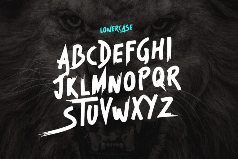 Beast - Brush Font Digital Font Download