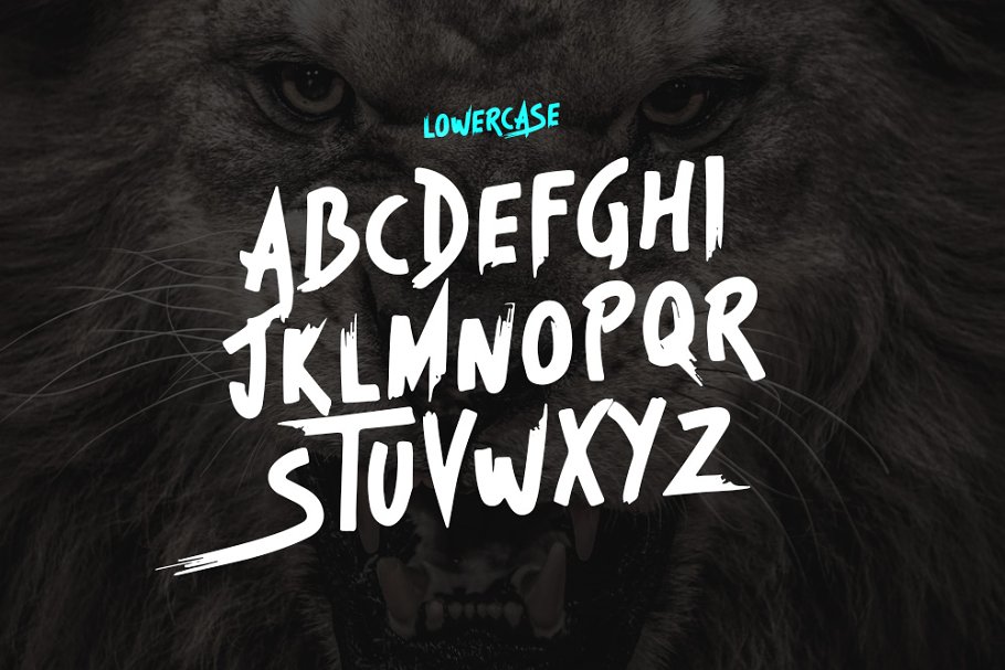 Beast - Brush Font Digital Font Download