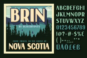 Brin Font Digital Font Download