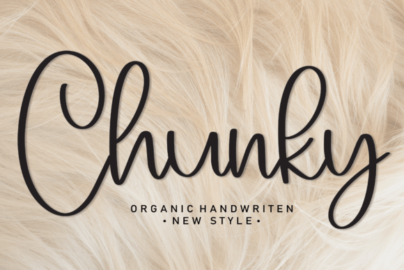 Chunky Font Digital Font Download