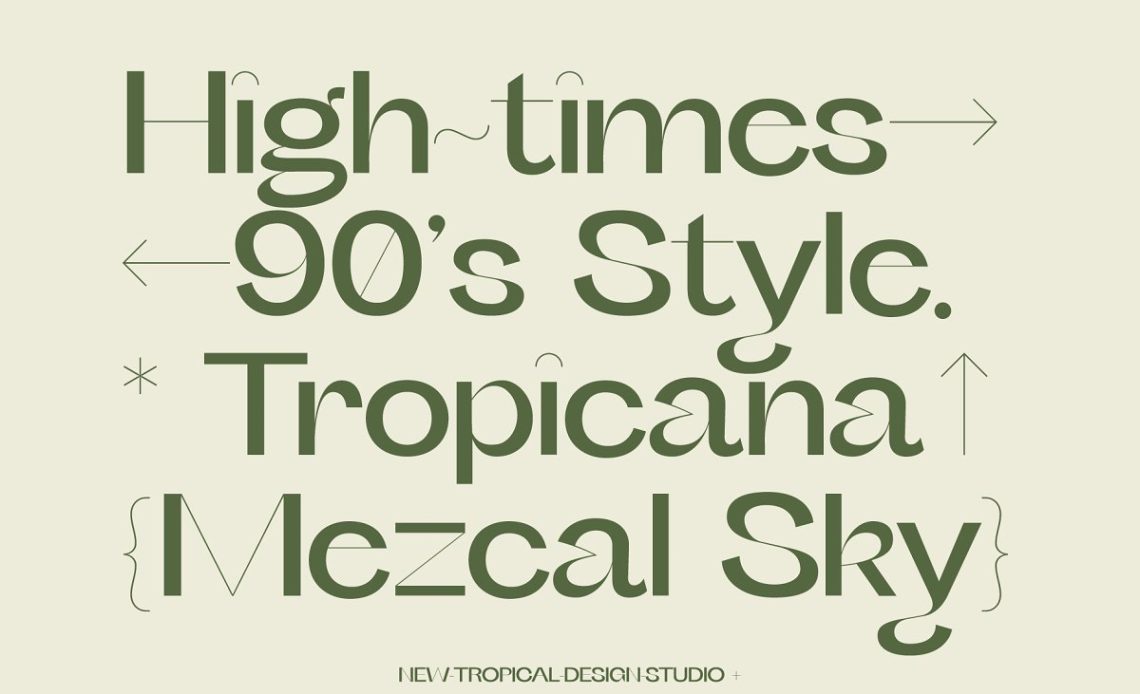 Future Classic Sans Typeface Digital Font Download