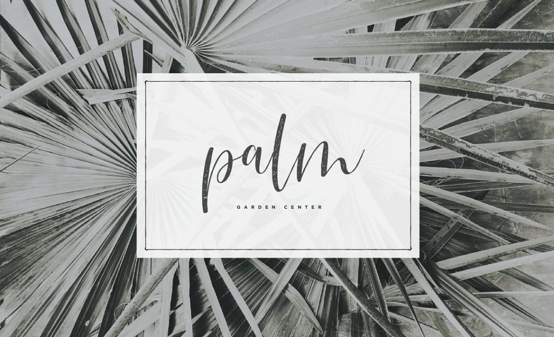 Julietta Script Font Digital Font Download