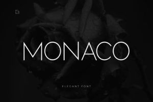 Monaco Font Digital Font Download