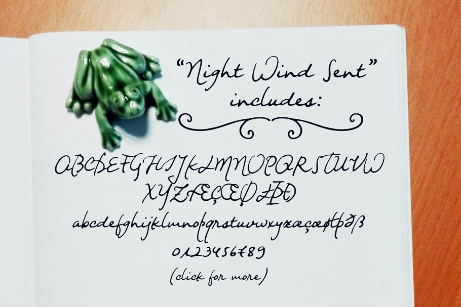 Night Wind Sent handwritten font Digital Font Download