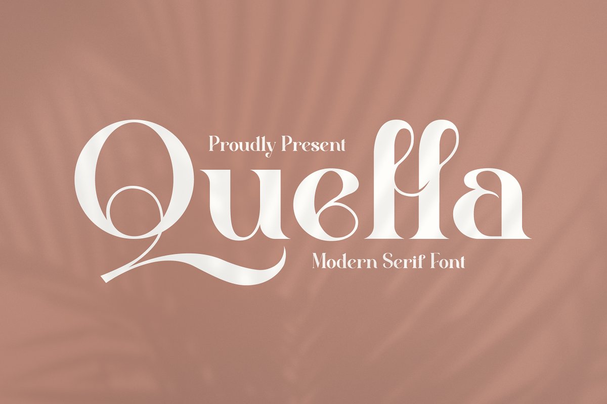 Quella Modern Serif Font Digital Font Download