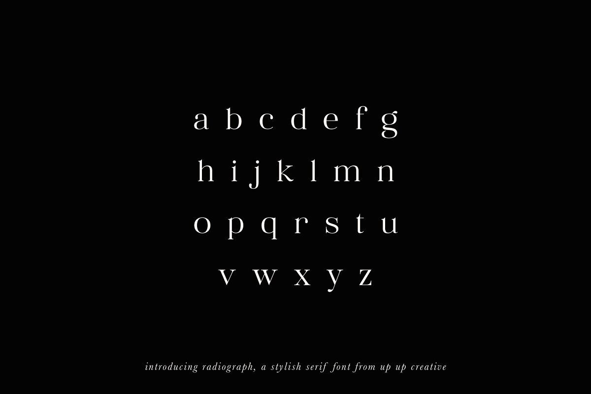 Radiograph, A Serif Font Digital Font Download