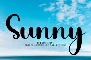 Sunny Font Digital Font Download