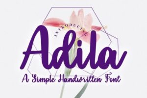 Adila Font Digital Font Download