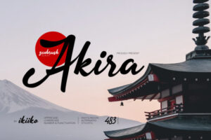 Akira Font Digital Font Download