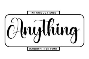 Anything Font Digital Font Download