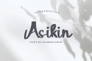 Asikin Font Digital Font Download