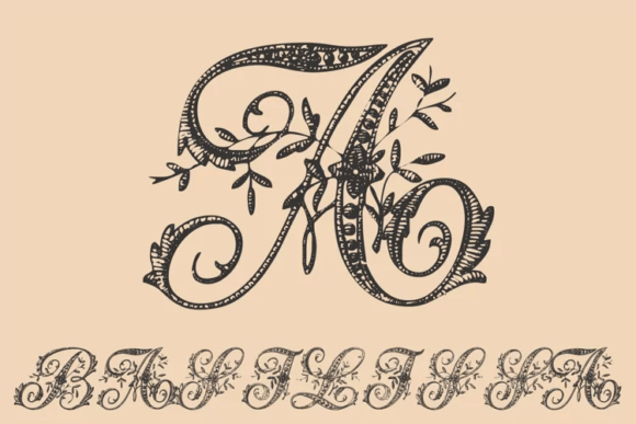 Basilissa Font Digital Font Download