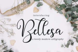 Bellesa Font Digital Font Download