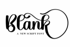 Blank Font Digital Font Download