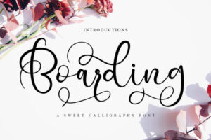 Boarding Font Digital Font Download