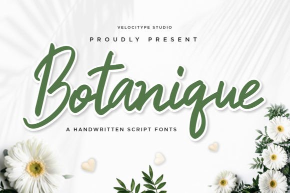 Botanique Font Digital Font Download