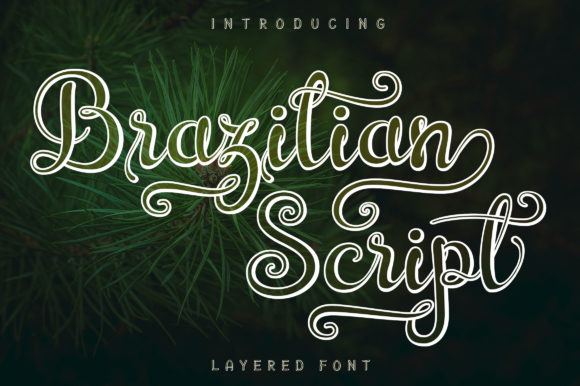 Brazilian Script Font Digital Font Download