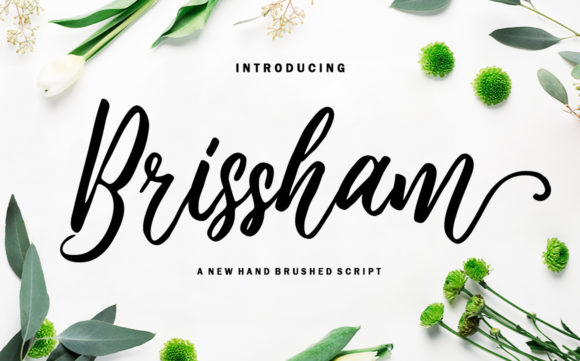 Brissham Font Digital Font Download