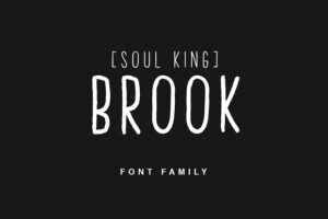 Brook Font Digital Font Download