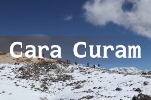 Cara Curam Font Digital Font Download