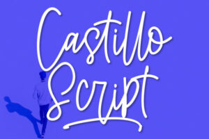 Castillo Font Digital Font Download