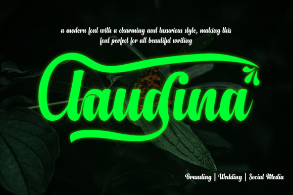 Claudina Font Digital Font Download