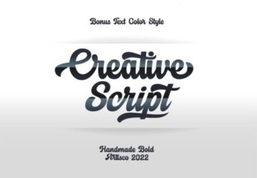 Creative Script Font Digital Font Download