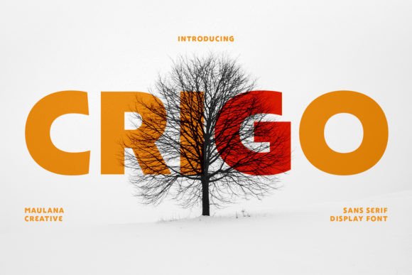 Crigo Font Digital Font Download