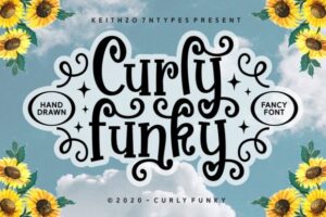 Curly Funky Font Digital Font Download