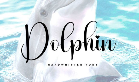 Dolphins Font Digital Font Download
