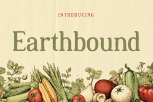 Earthbound Font Digital Font Download