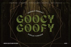 Goocy Goofy Font Digital Font Download
