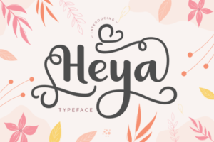 Heya Font Digital Font Download