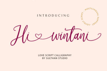 Hi Wintani Font Digital Font Download