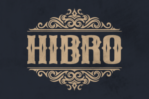 Hibro Font Digital Font Download