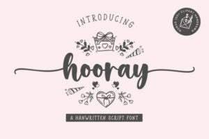 Hooray Font Digital Font Download