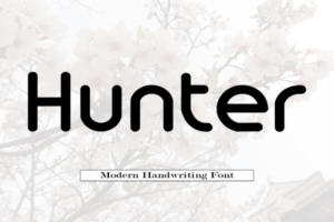 Hunter Font Digital Font Download