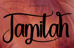 Jamilah Font Digital Font Download