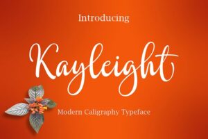 Kayleight Font Digital Font Download