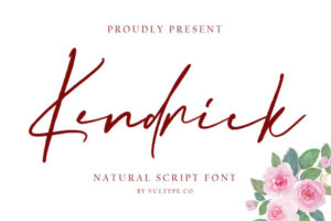 Kendrick Font Digital Font Download