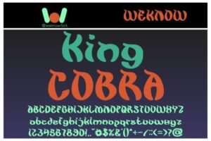 King Cobra Font Digital Font Download