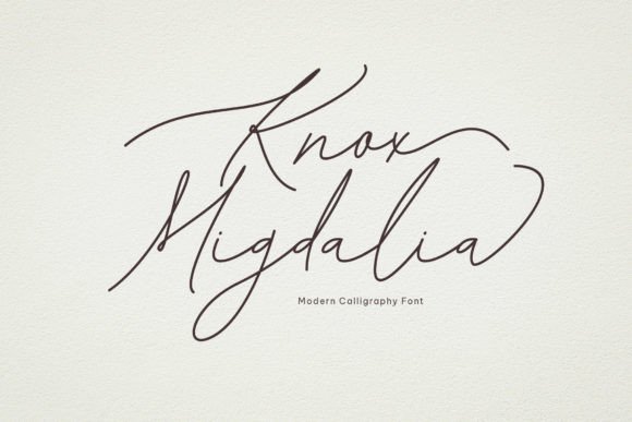 Knox Migdalia Font Digital Font Download