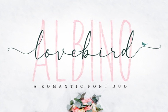 Lovebird Font Digital Font Download