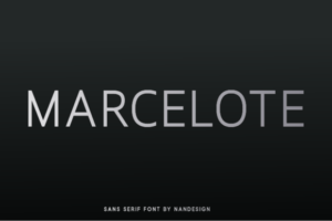Marcelote Font Digital Font Download