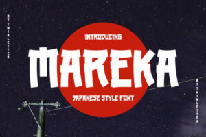 Mareka Font Digital Font Download