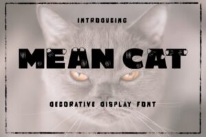 Mean Cat Font Digital Font Download