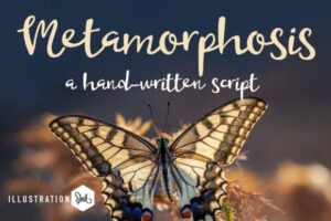 Metamorphosis Font Digital Font Download