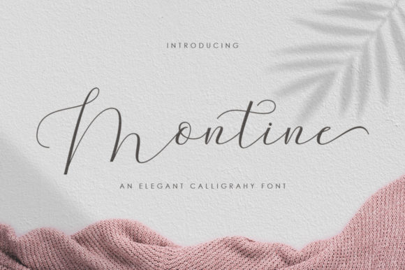 Montine Script Font Digital Font Download